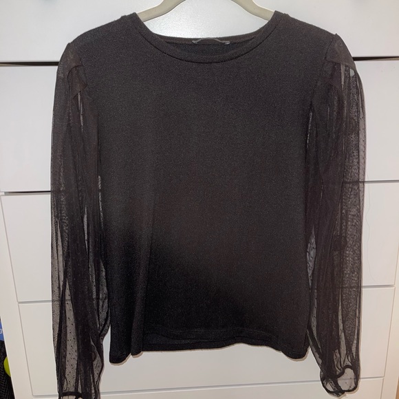 Zara | Tops | Zara Sheer Long Sleeve Top | Poshmark